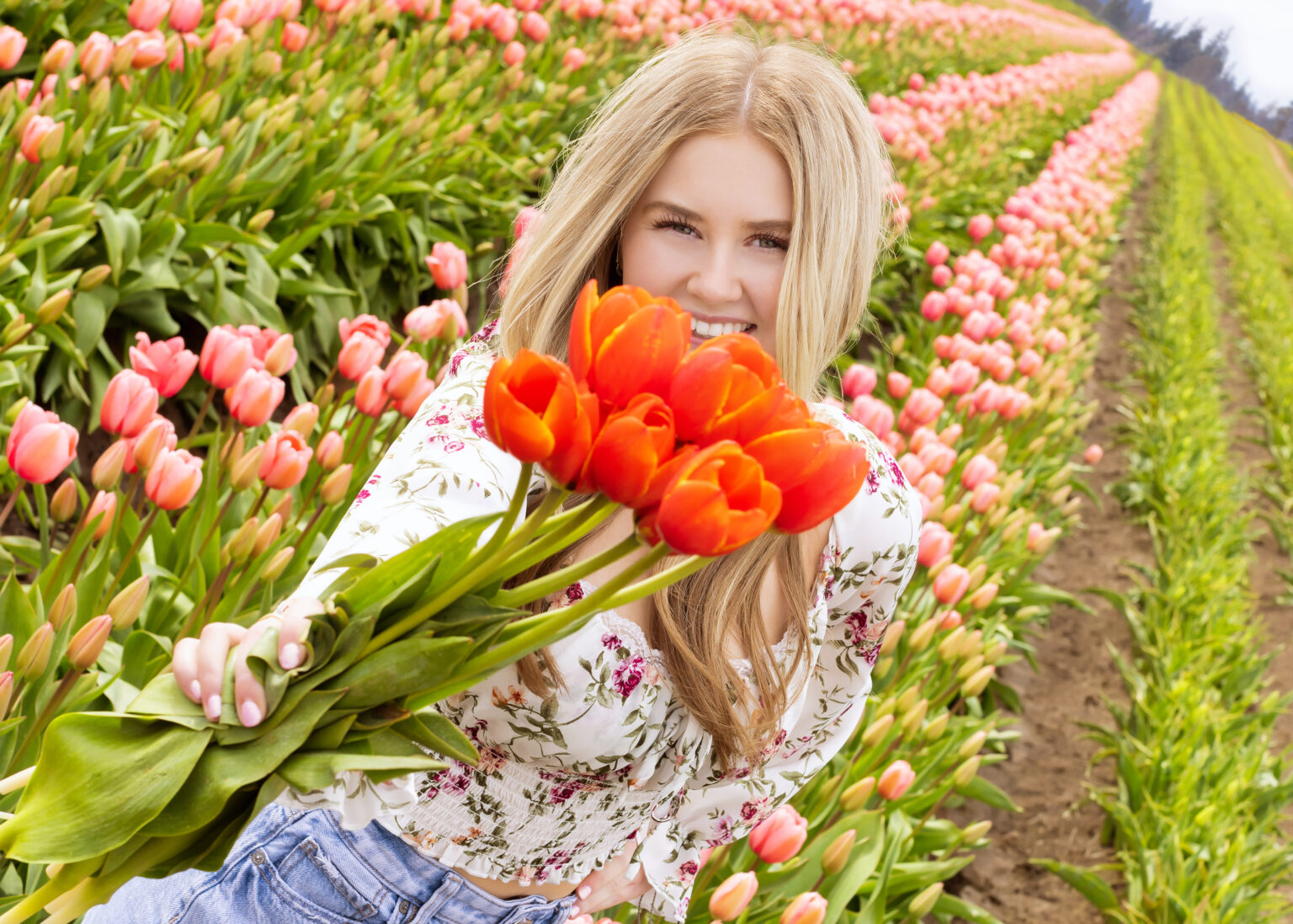 Bailey in the tulips | Wooden Shoe Tulip Farm, Woodburn Oregon ...